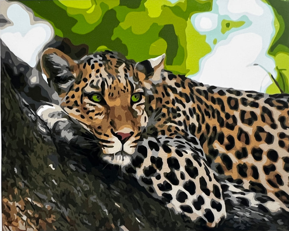 Collections – Paint by Numbers
