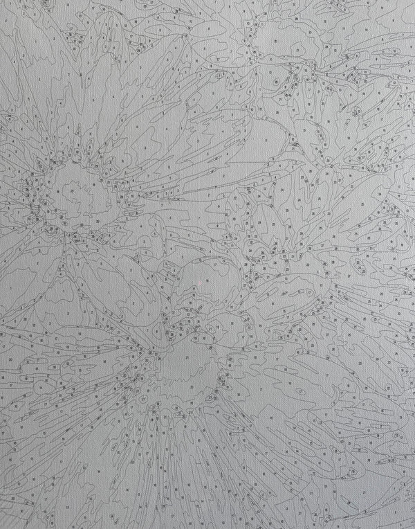 Daisies – Paint by Numbers