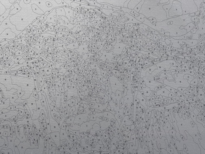 Buffalo – Paint by Numbers