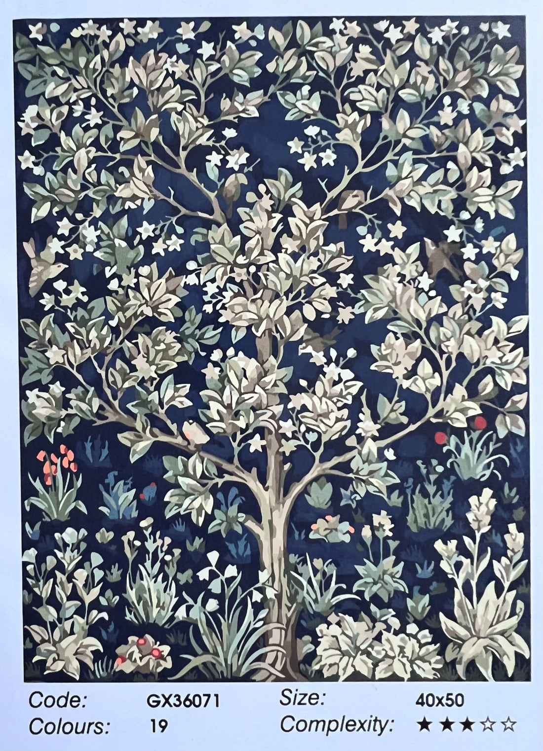 Enchanted Forest – Paint by Numbers