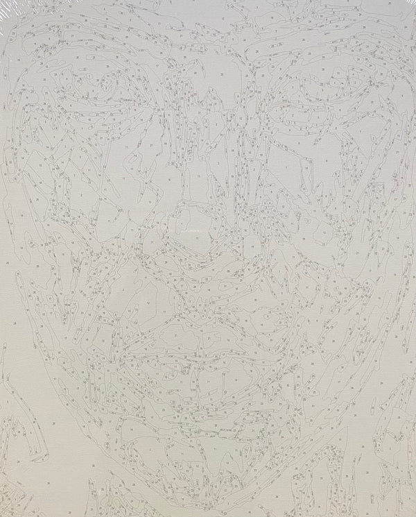 Face – Paint by Numbers