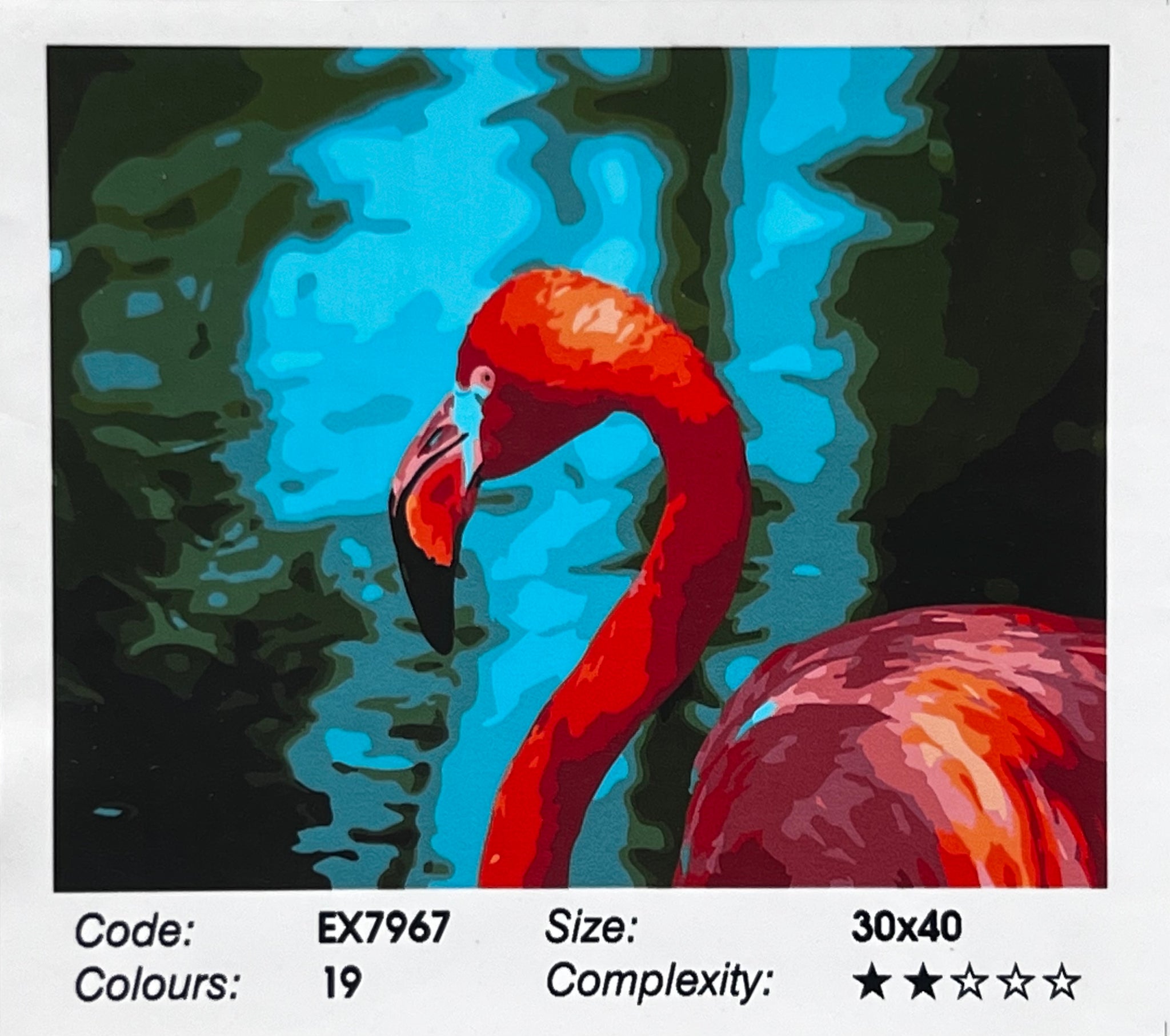 Flamingo – Paint by Numbers