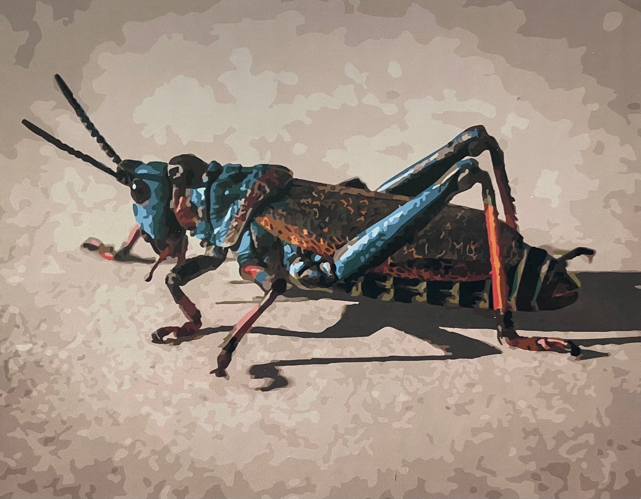 Grasshopper – Paint by Numbers